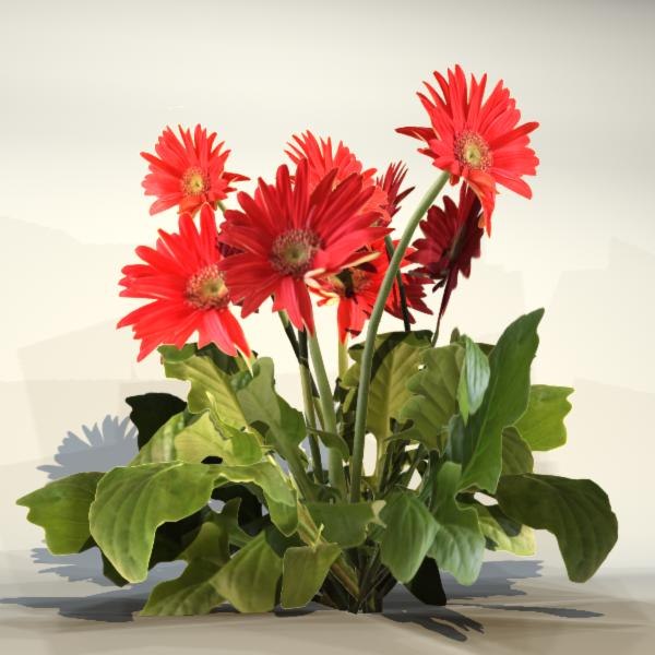 3d pc flower model