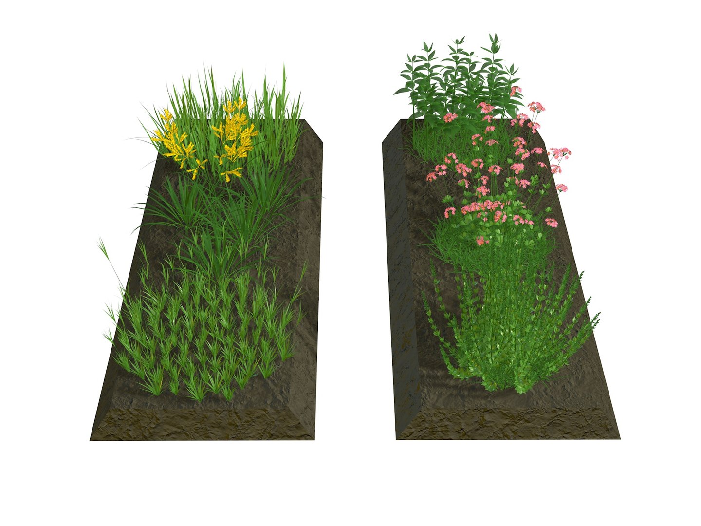 Herb Herbage 3D Model - TurboSquid 1519358