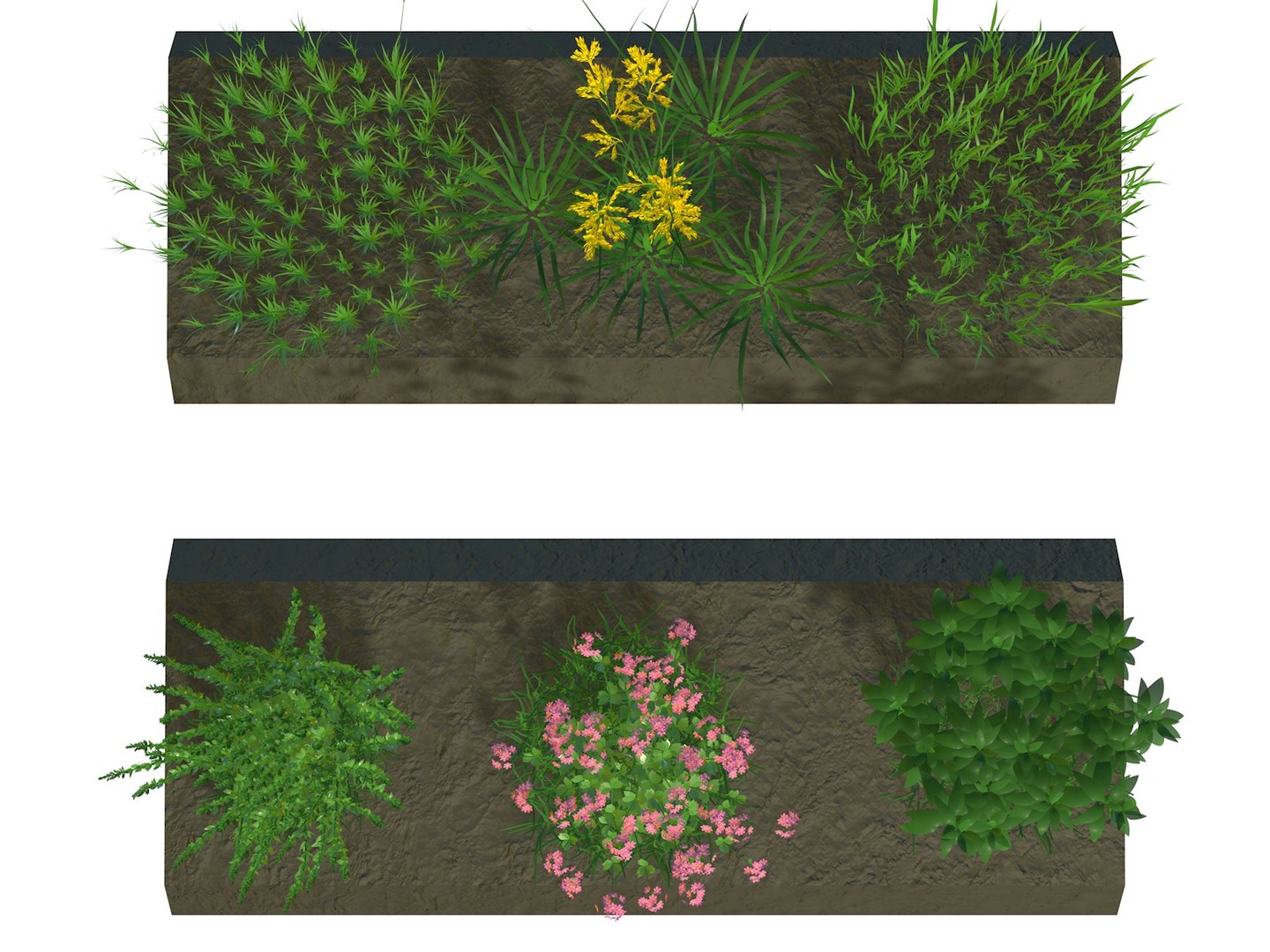 Herb Herbage 3D Model - TurboSquid 1519358