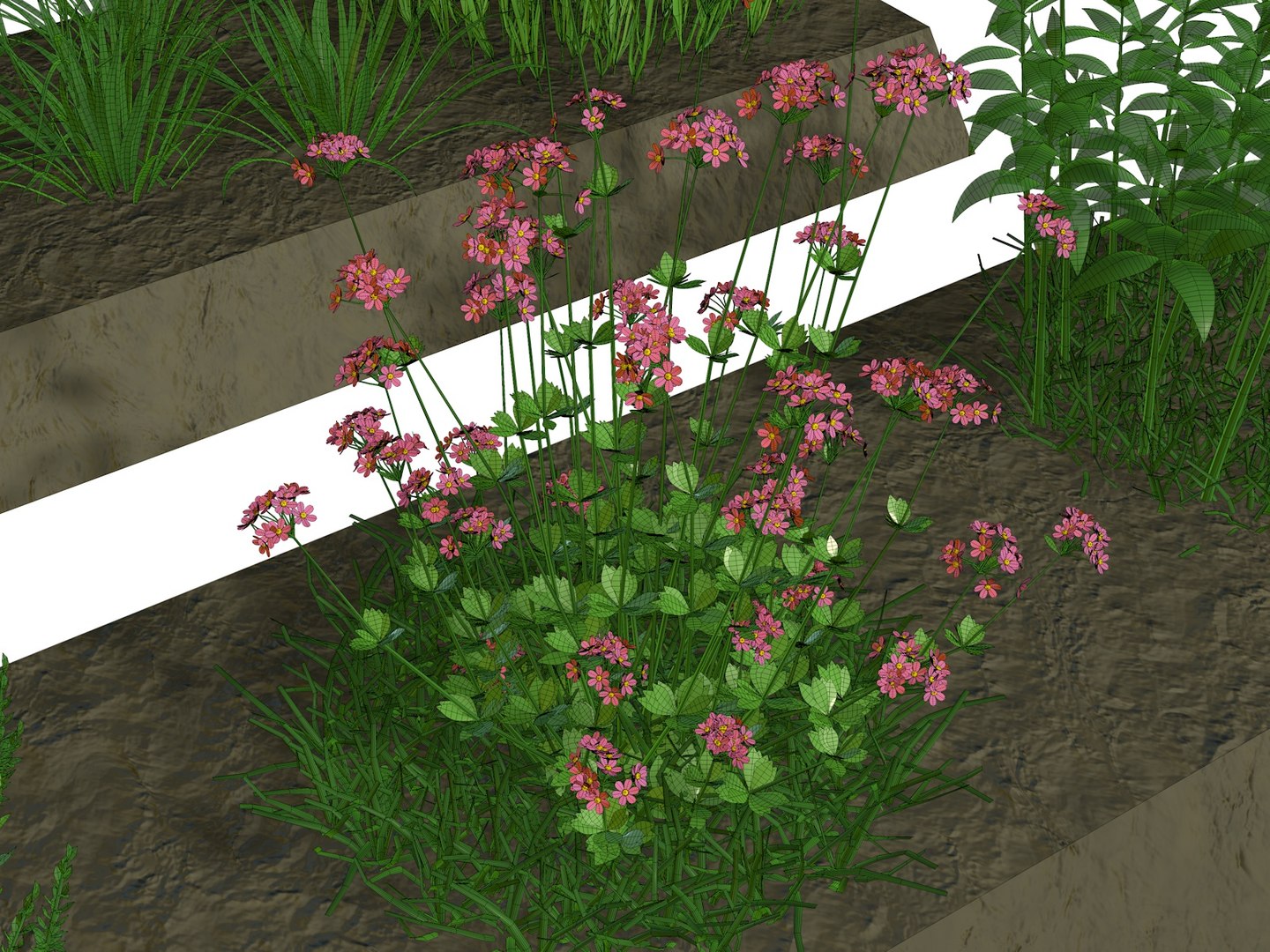 Herb Herbage 3D Model - TurboSquid 1519358