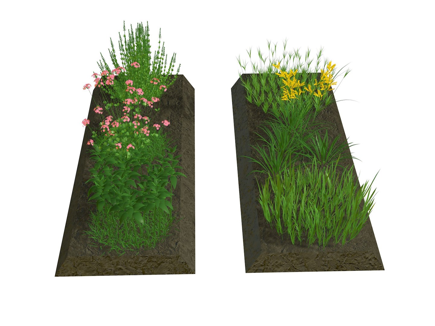 Herb Herbage 3D Model - TurboSquid 1519358