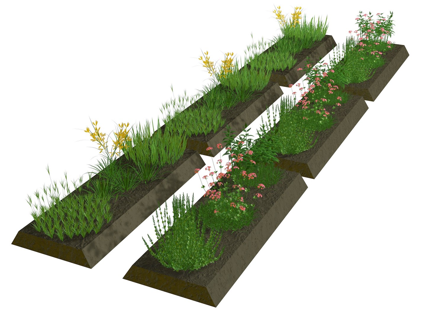 Herb Herbage 3D Model - TurboSquid 1519358
