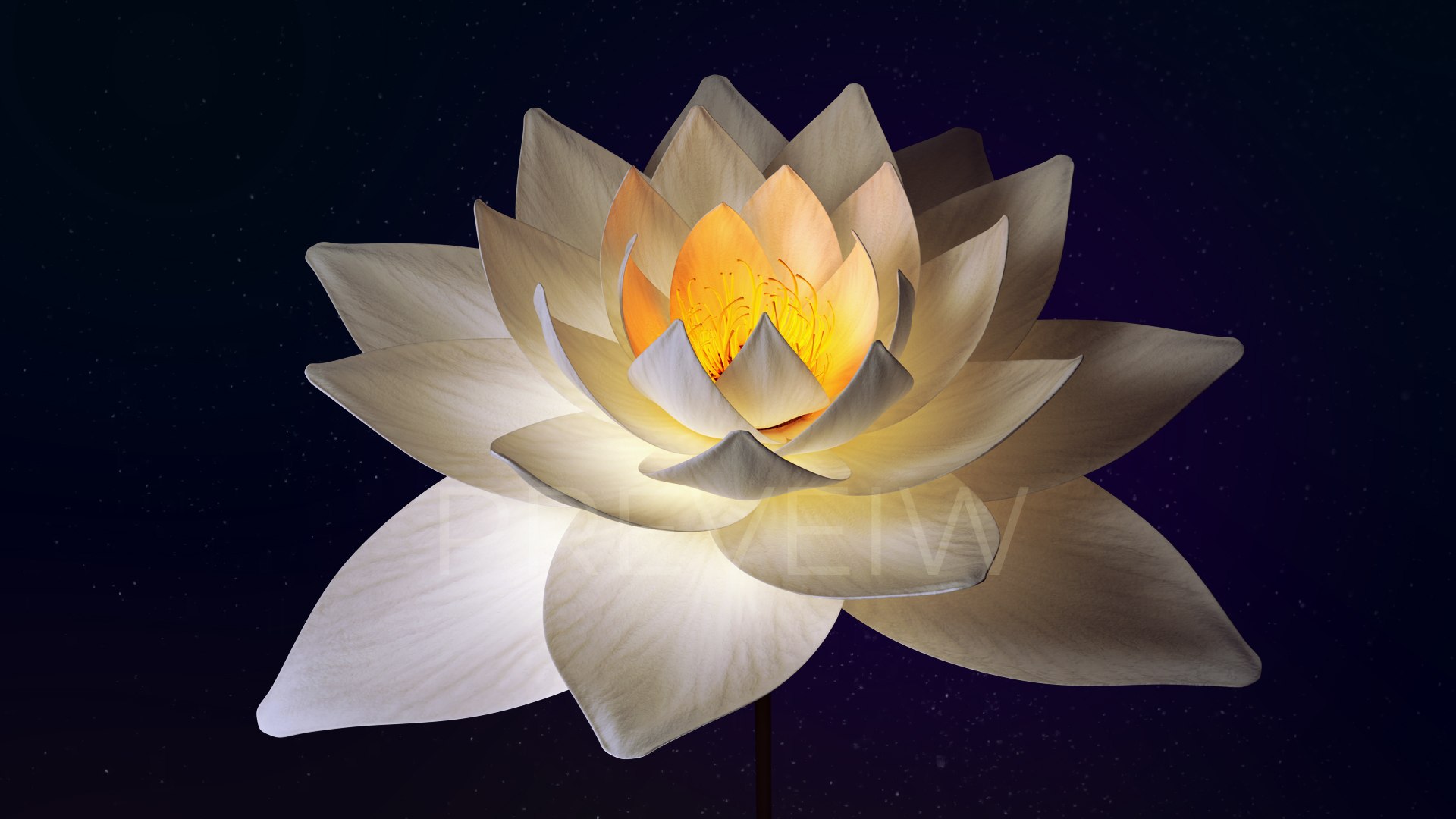 White Lotus- Water Lily 3d Animated 3D - TurboSquid 1972126
