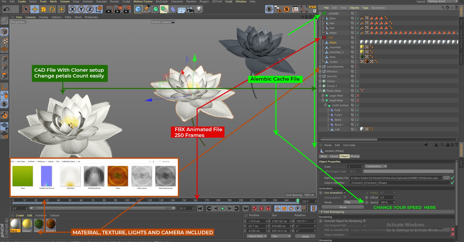 White Lotus- Water Lily 3d Animated 3D - TurboSquid 1972126