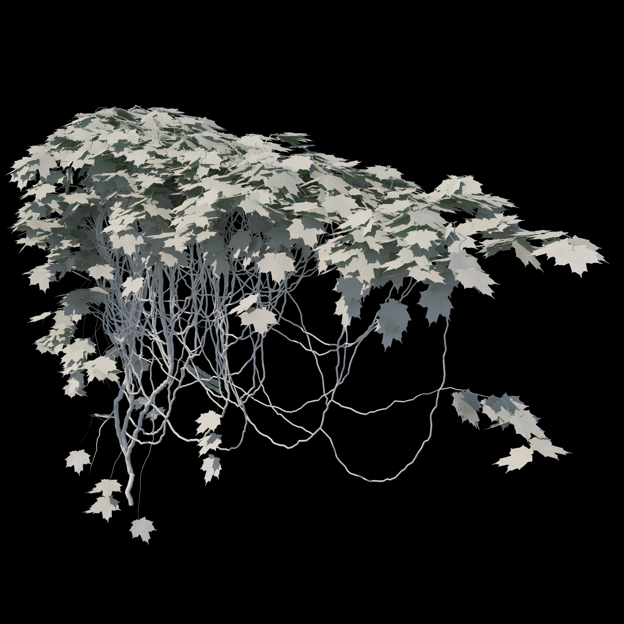 3D realistic ivy - TurboSquid 1149315