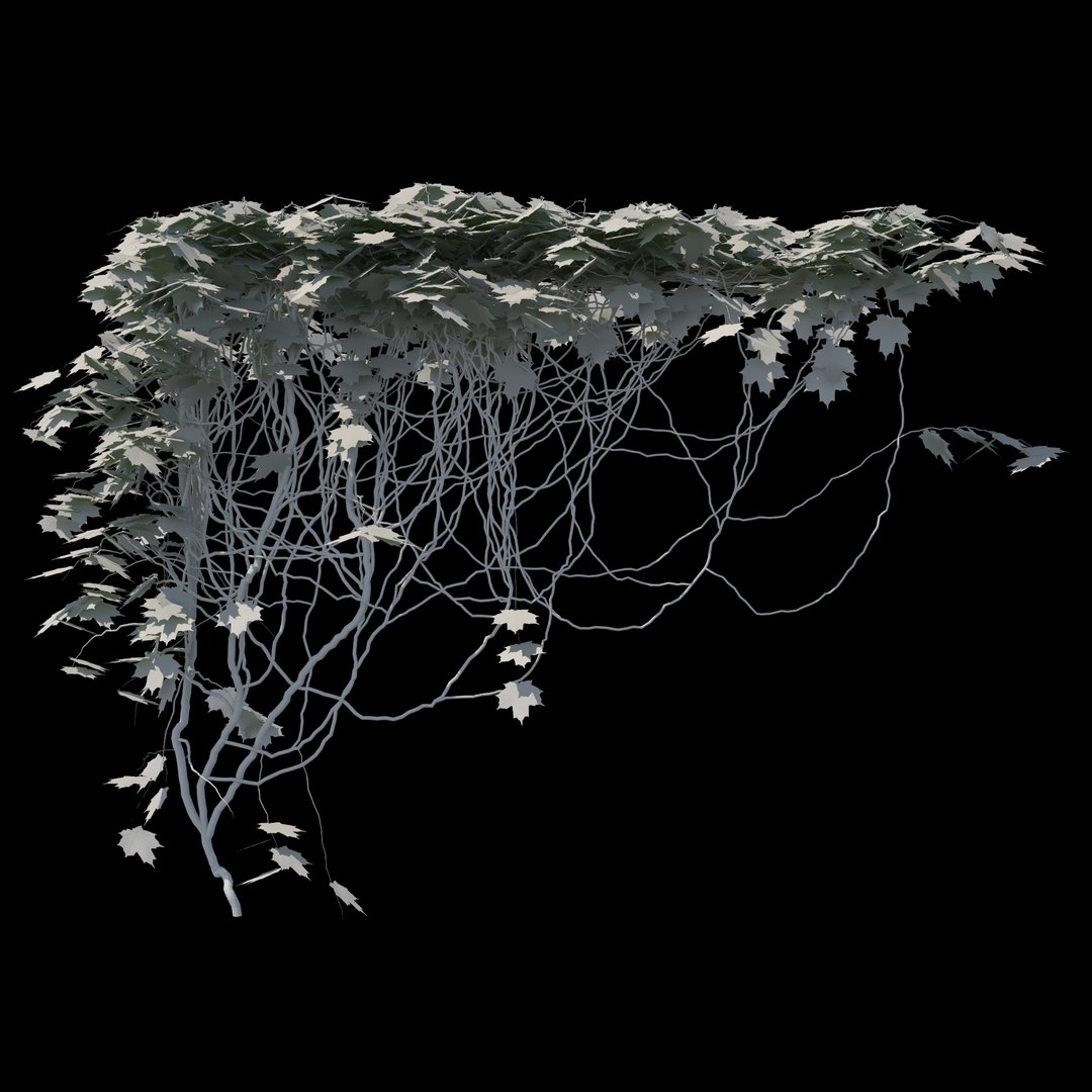3D Realistic Ivy - TurboSquid 1149315
