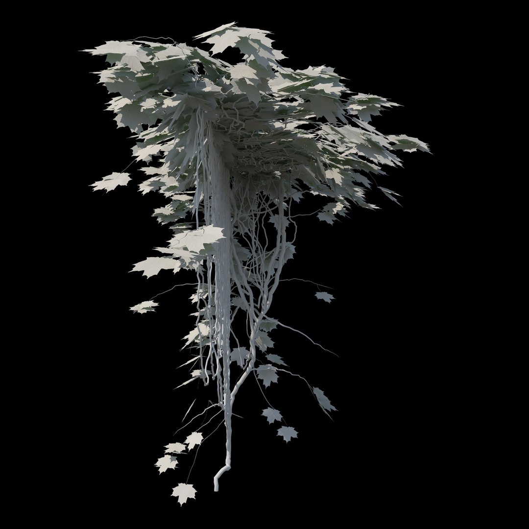 3D Realistic Ivy - TurboSquid 1149315