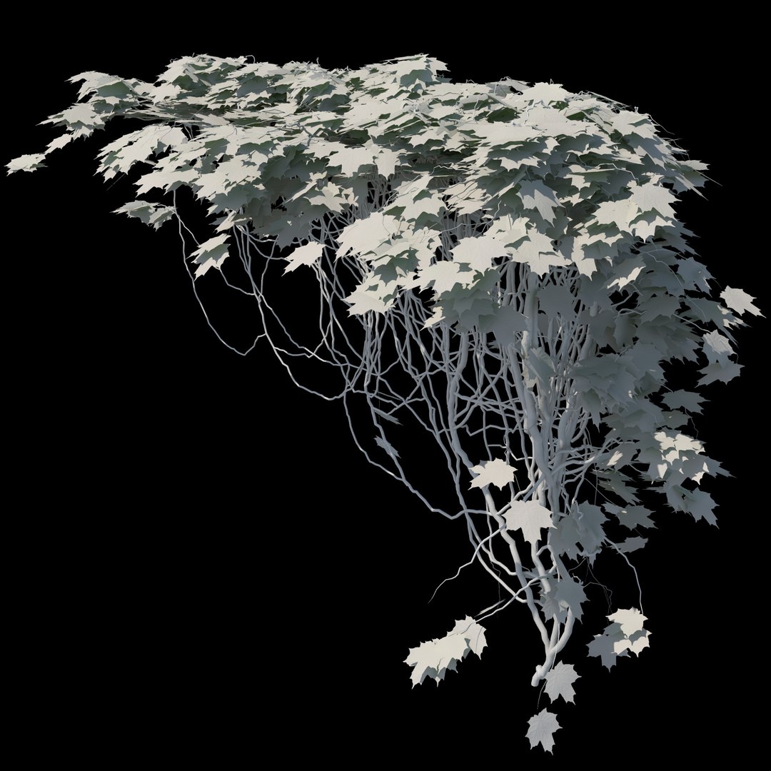 3D Realistic Ivy - TurboSquid 1149315