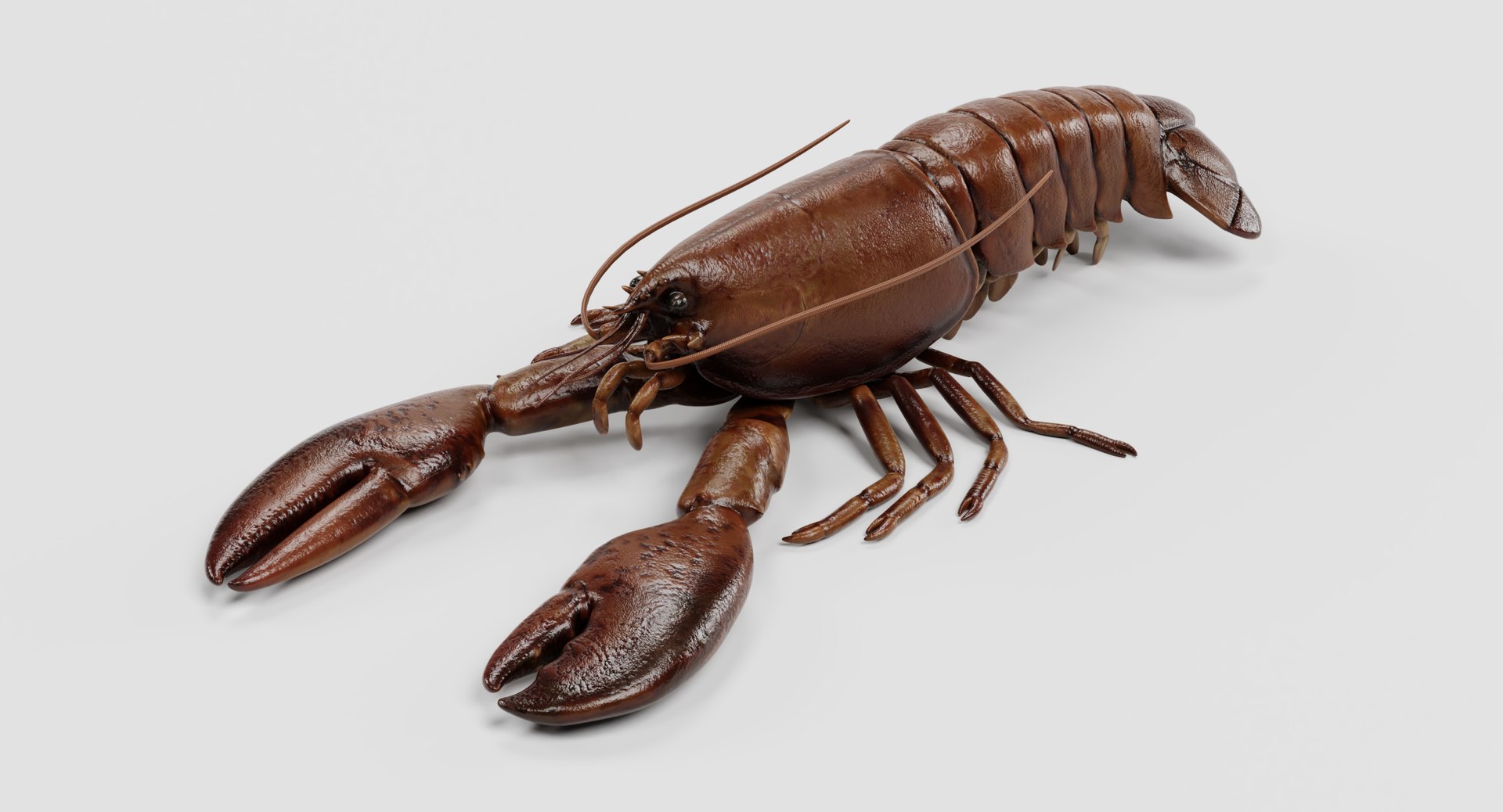 Crustacean 3D Model - TurboSquid 1728654