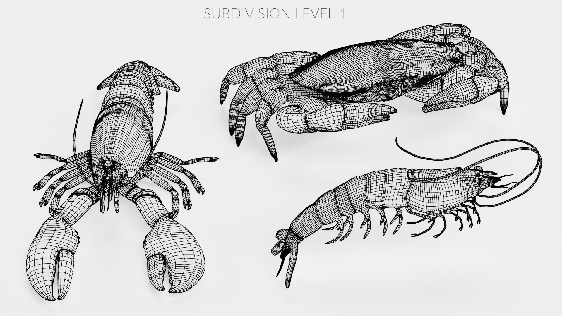 Crustacean 3D Model - TurboSquid 1728654