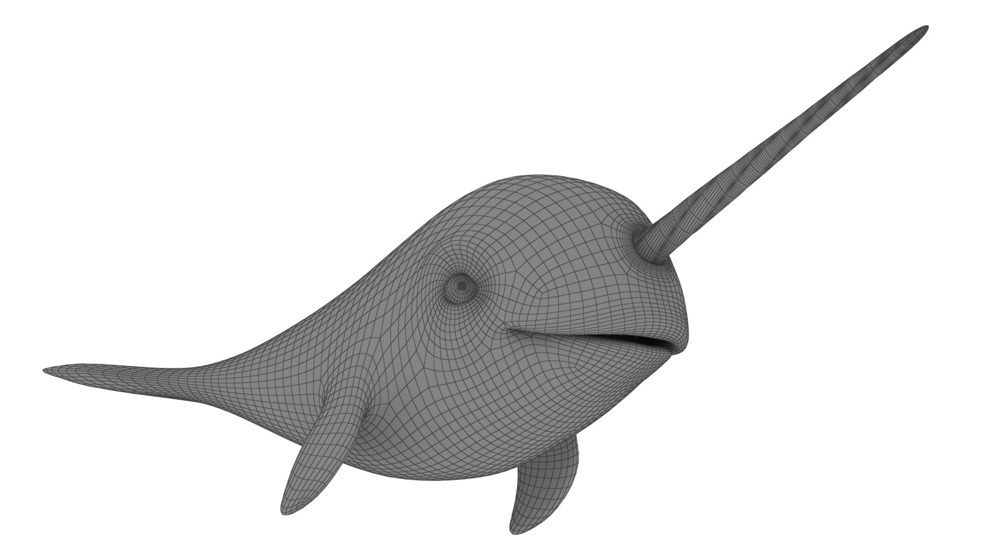 Cartoon Narwhal And Sword Fish 3D - TurboSquid 2095213