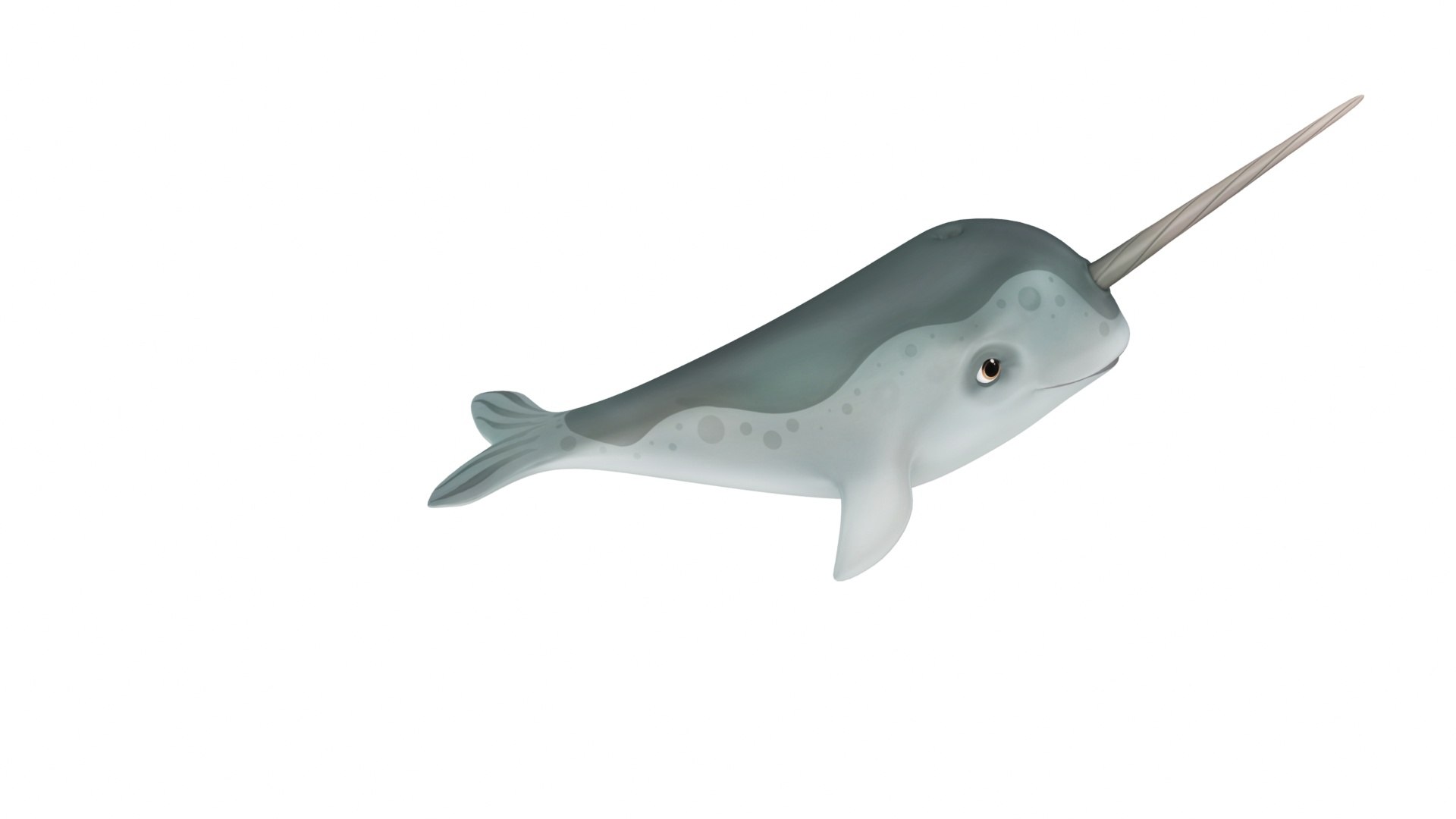 Cartoon Narwhal And Sword Fish 3D - TurboSquid 2095213