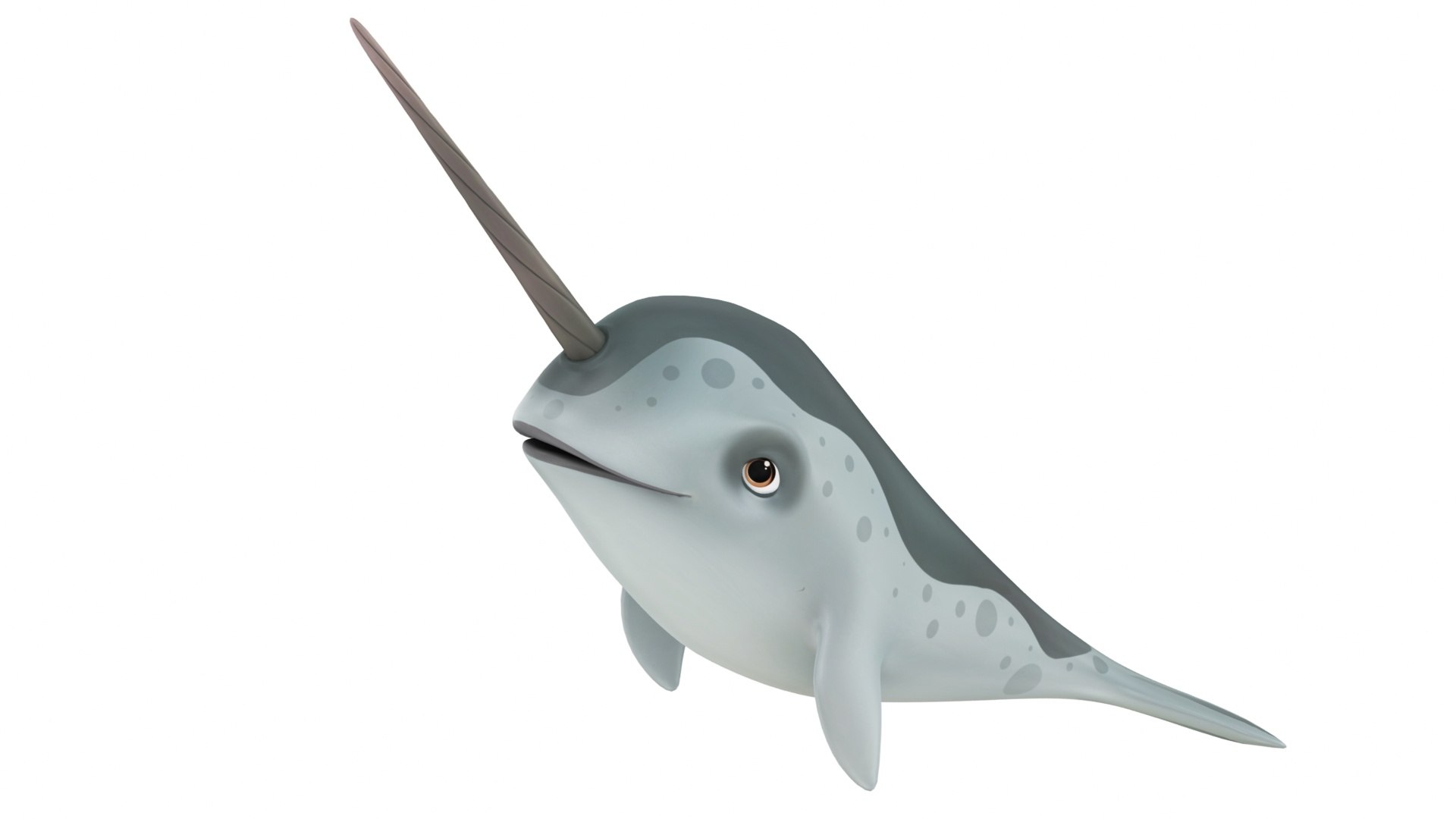 Cartoon Narwhal And Sword Fish 3D - TurboSquid 2095213