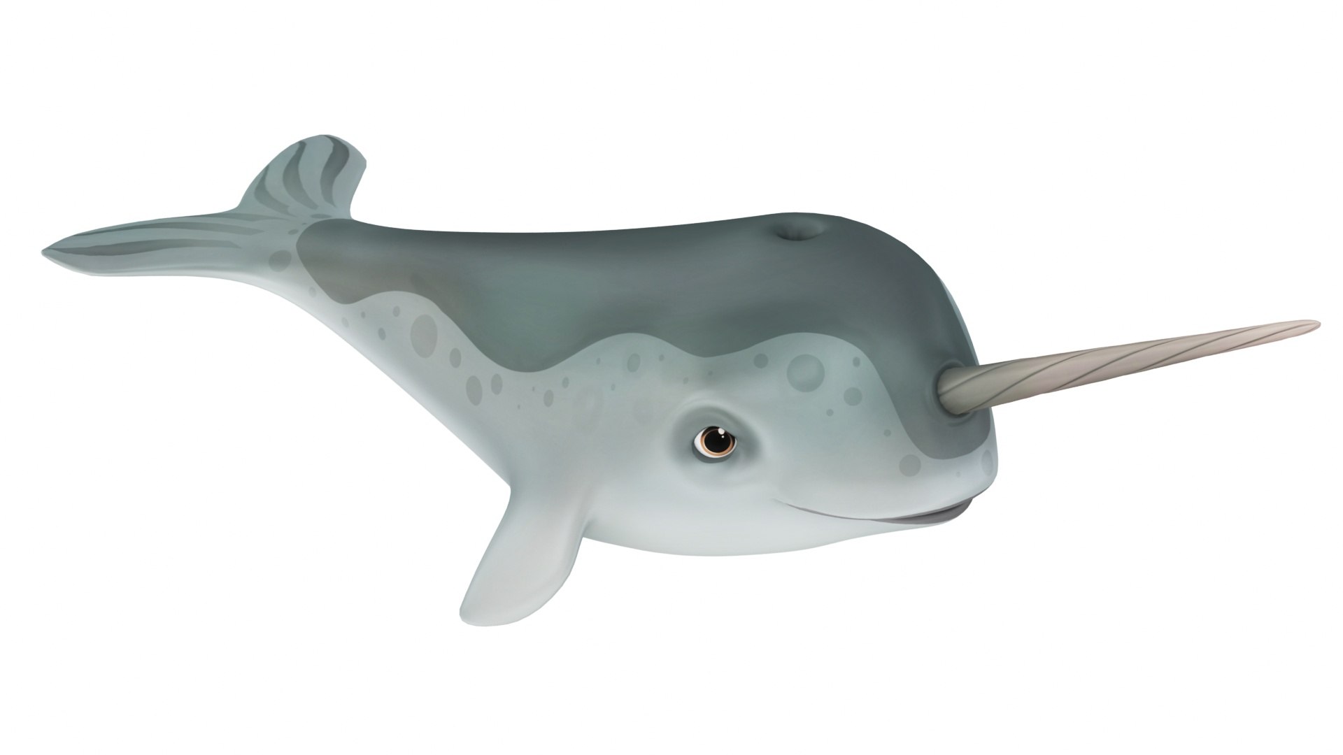 Cartoon Narwhal And Sword Fish 3D - TurboSquid 2095213