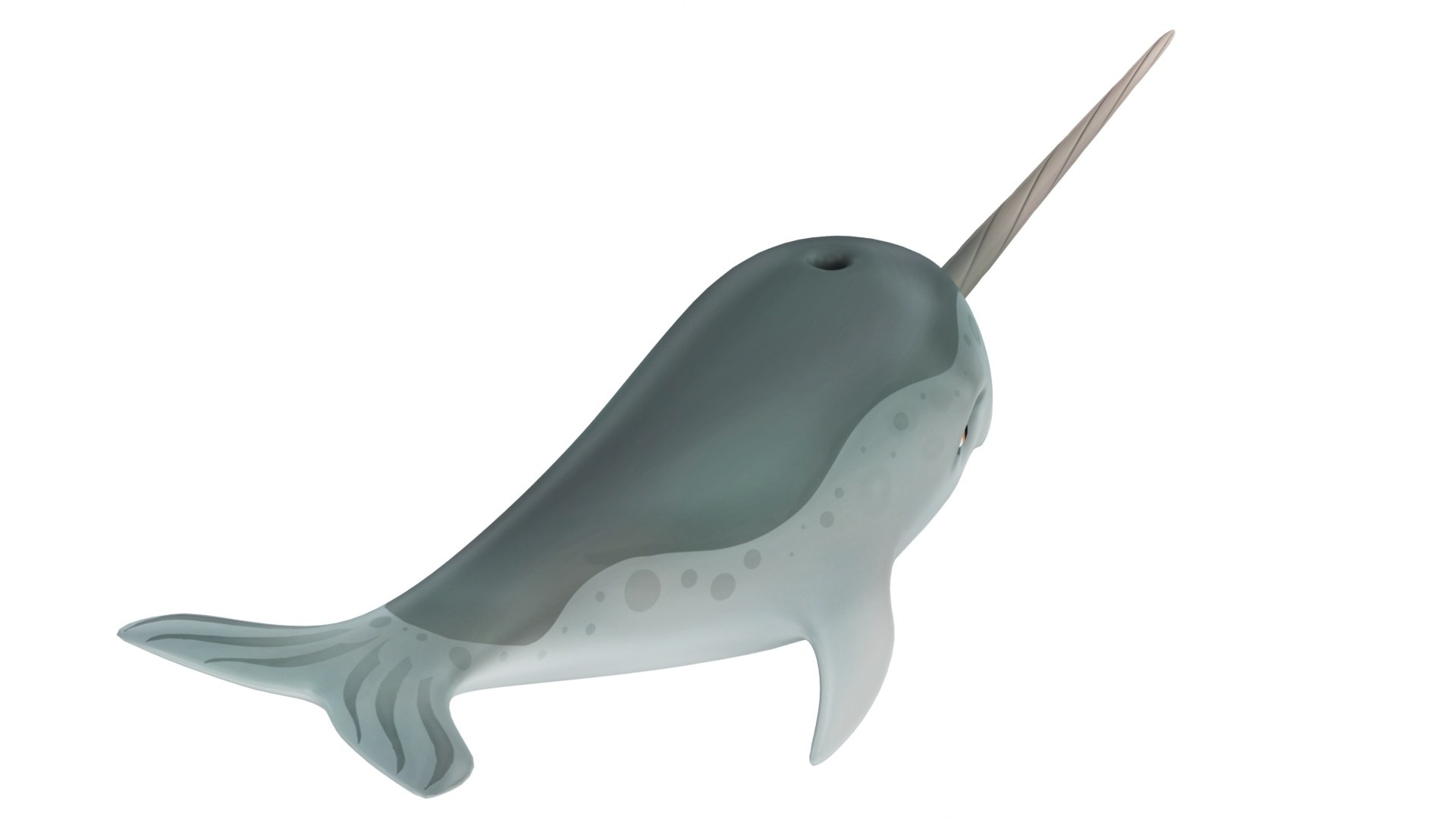 Cartoon Narwhal And Sword Fish 3D - TurboSquid 2095213