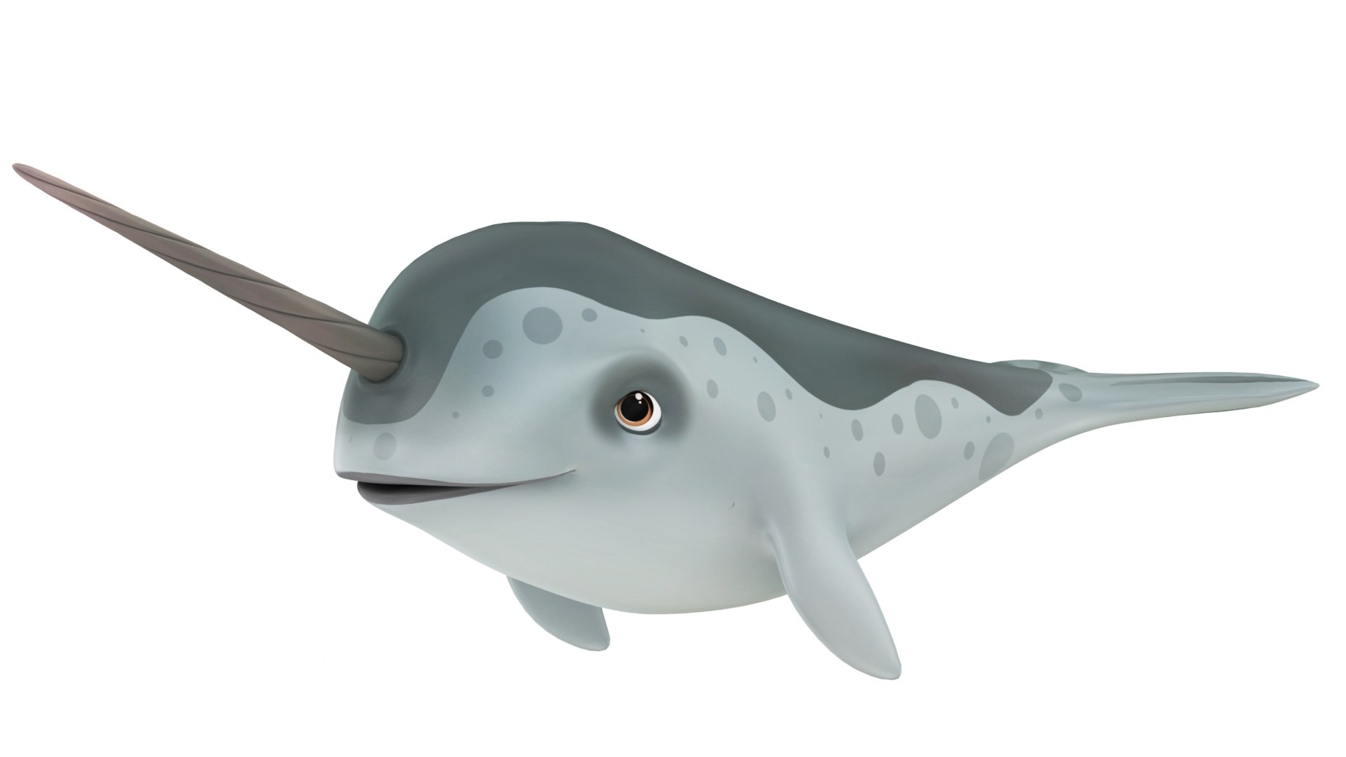 Cartoon Narwhal And Sword Fish 3D - TurboSquid 2095213