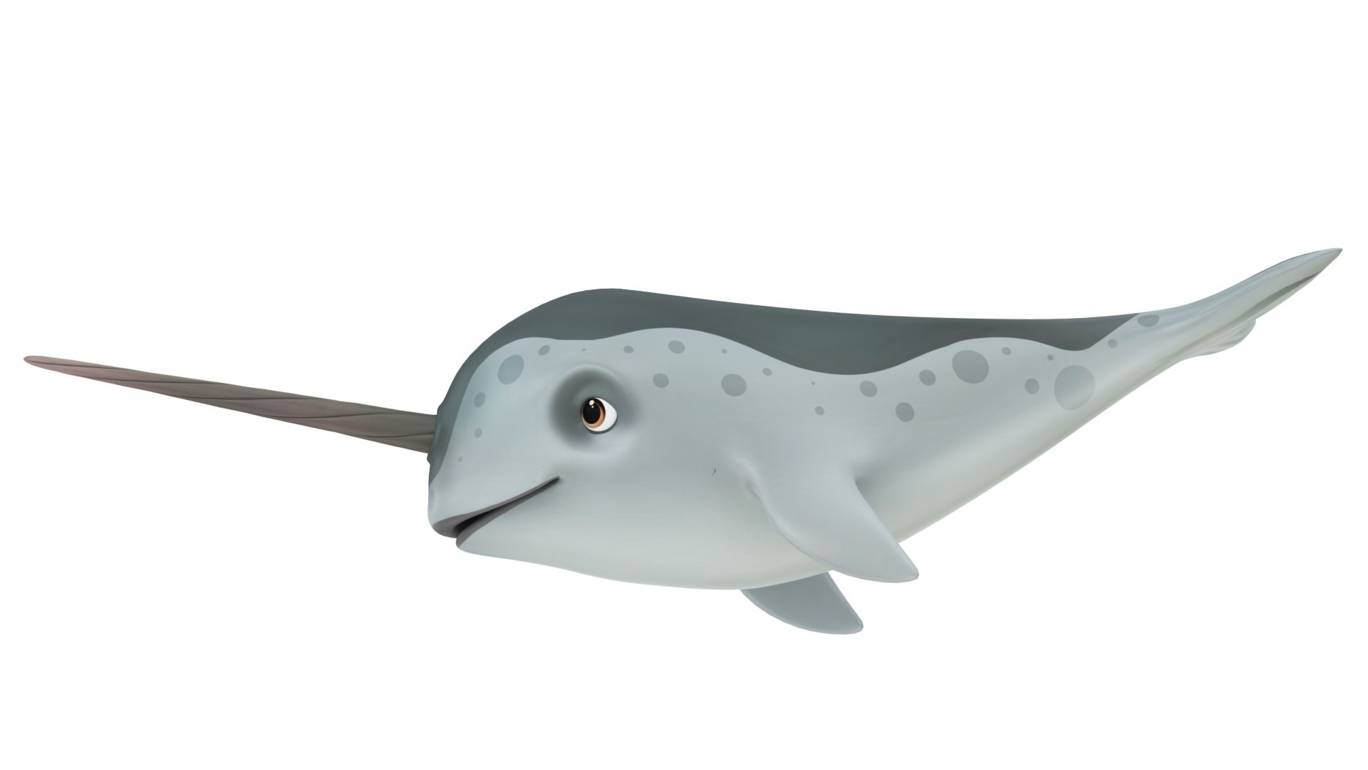 Cartoon Narwhal And Sword Fish 3D - TurboSquid 2095213