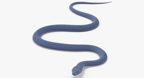 obj black snake 01