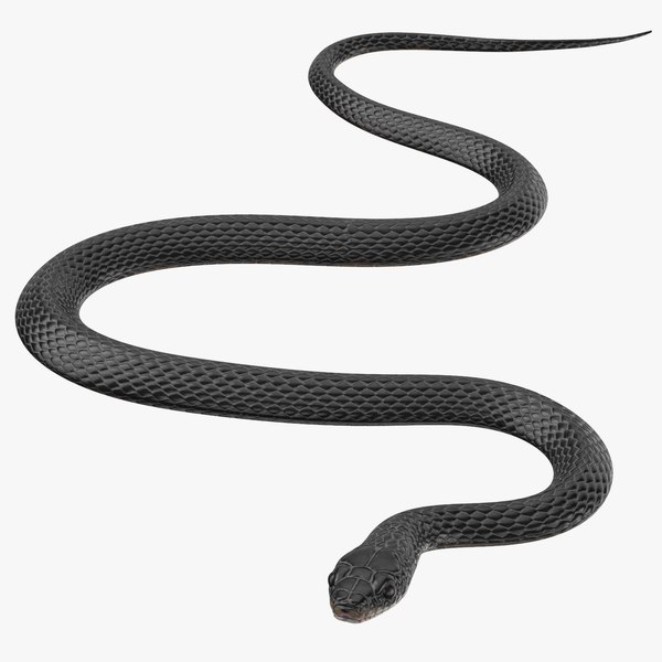 black snake rigged 3d model