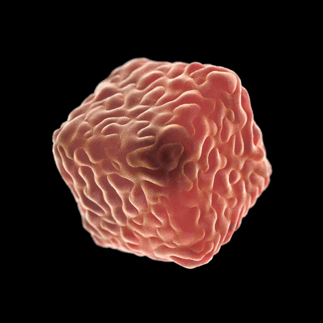 Microbes Bacteria Cells 3D Model - TurboSquid 1626215