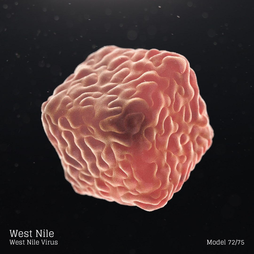 Microbes Bacteria Cells 3D Model - TurboSquid 1626215