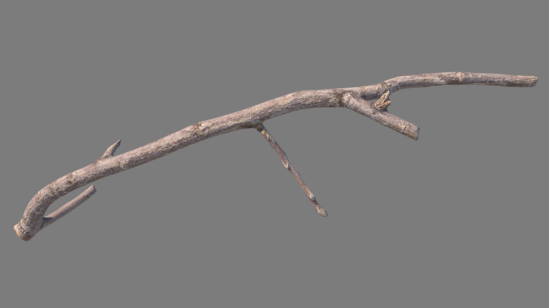 Twig Scanned 11 3D Model - TurboSquid 2088647