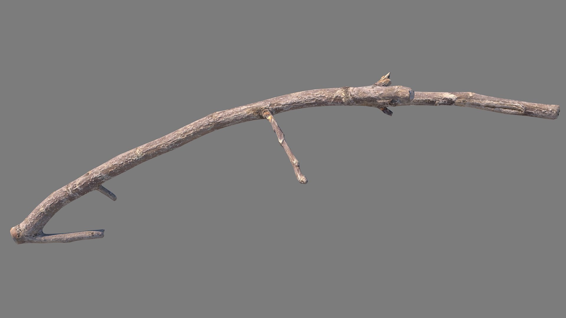 Twig Scanned 11 3D Model - TurboSquid 2088647