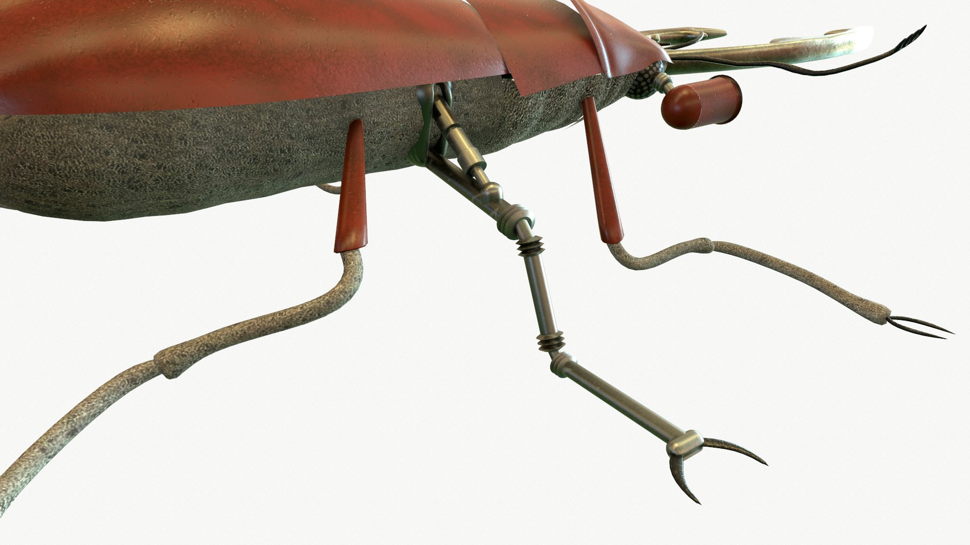 3D Beetle Robot - TurboSquid 1286640