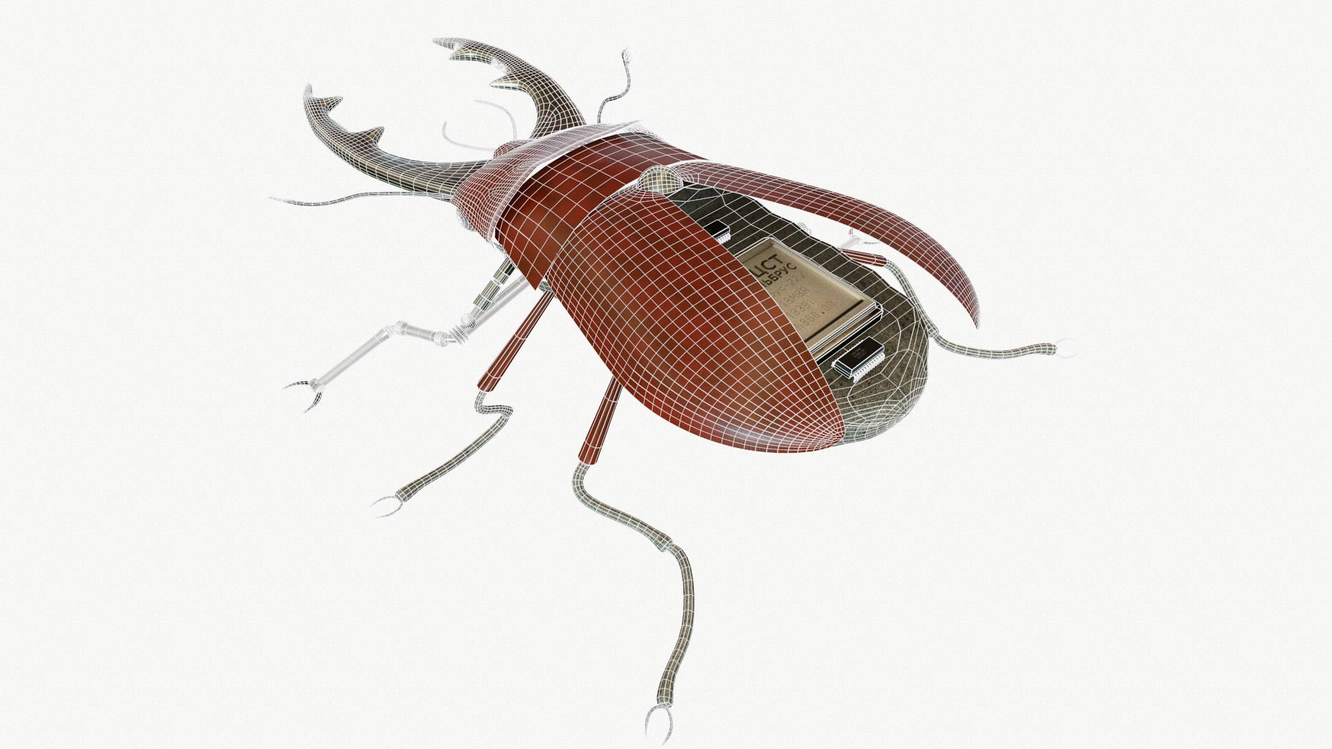 3D Beetle Robot - TurboSquid 1286640