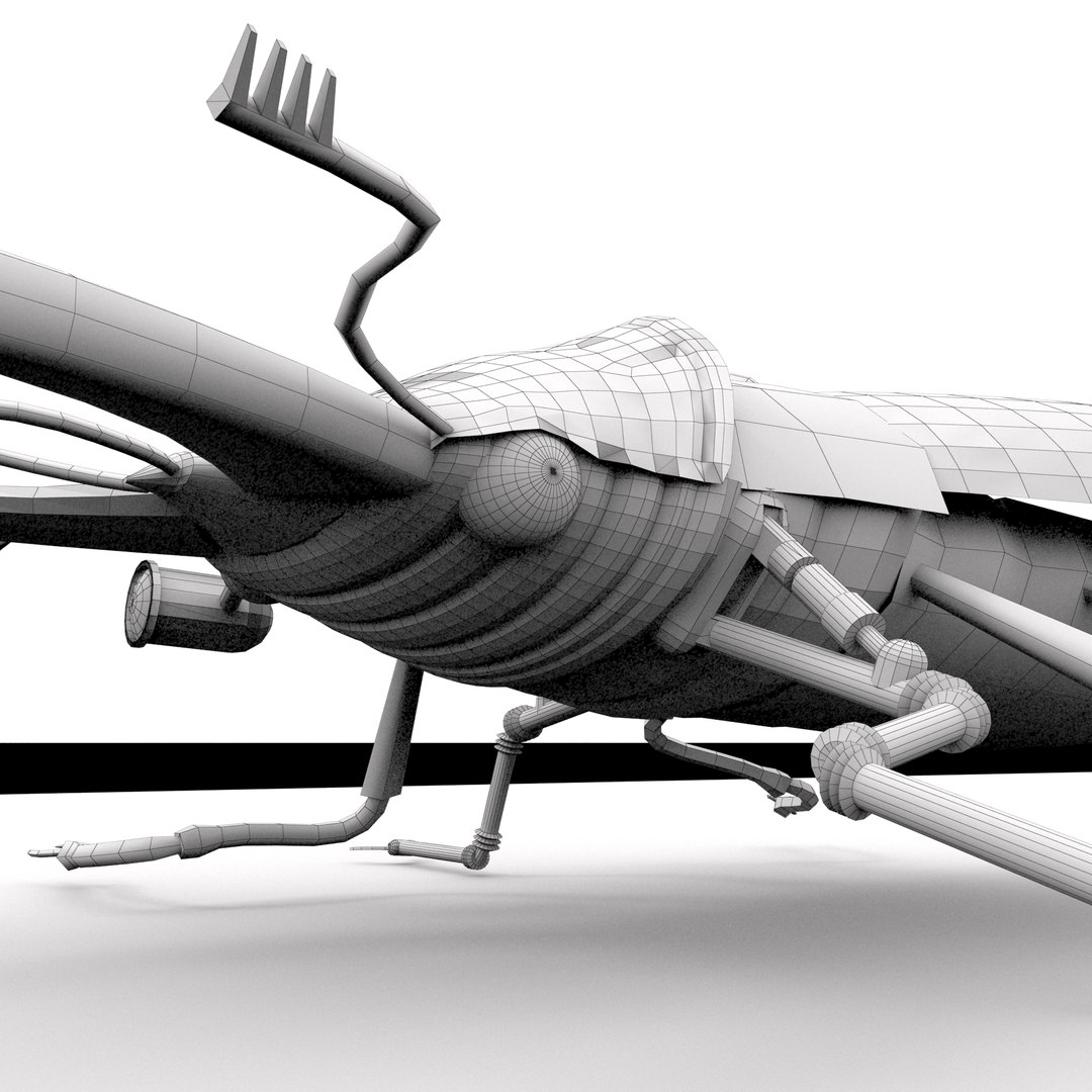 3D beetle robot - TurboSquid 1286640