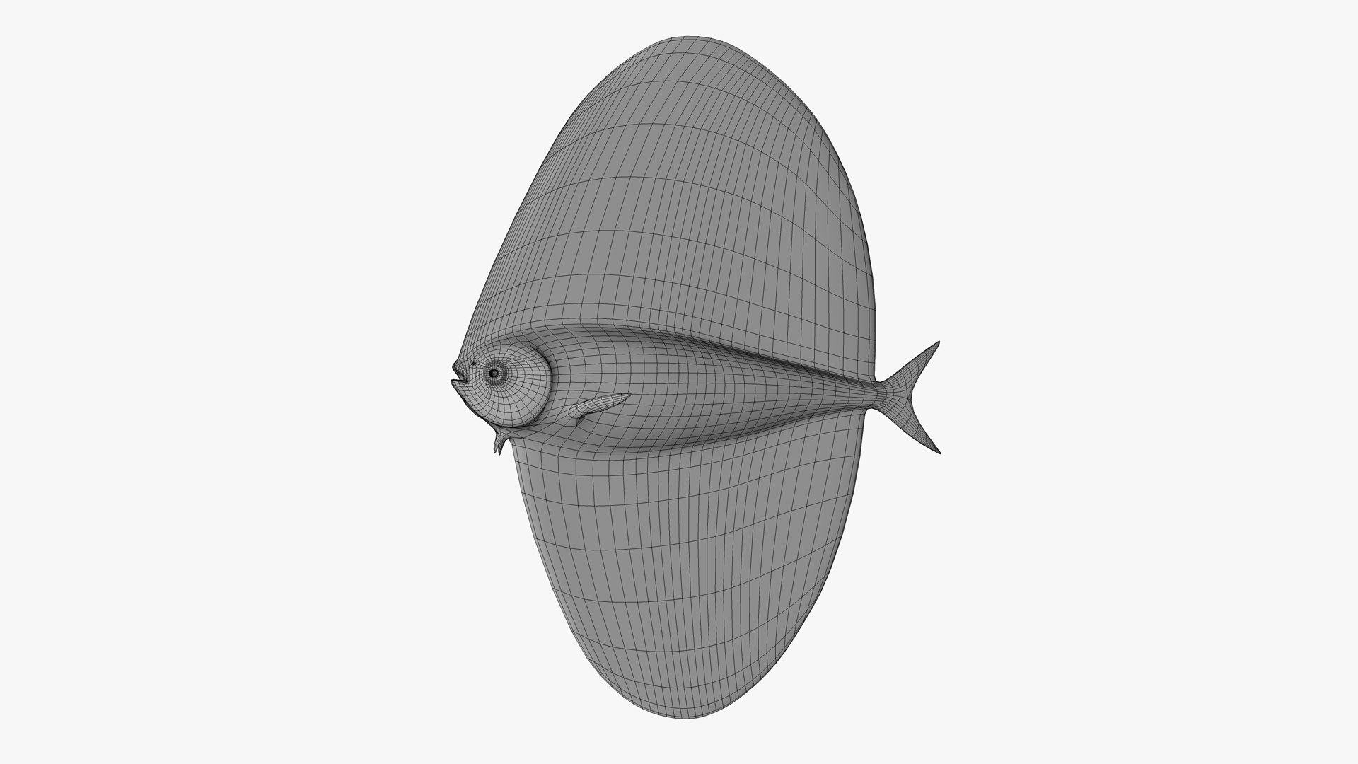 3D Spotted Fanfish Model - TurboSquid 1999986