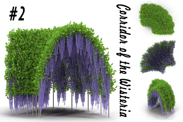 3D Wisteria Models | TurboSquid