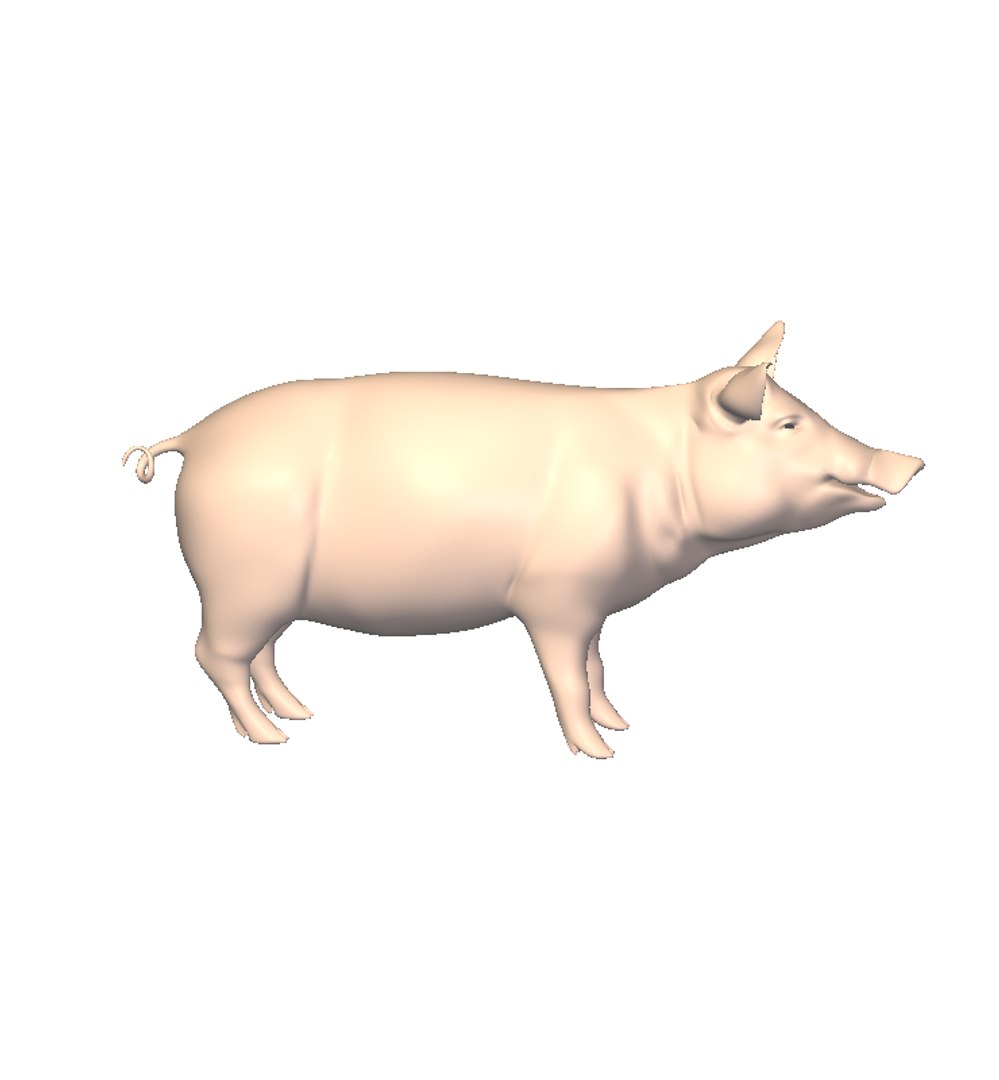 Pig 3D Model - TurboSquid 1277167