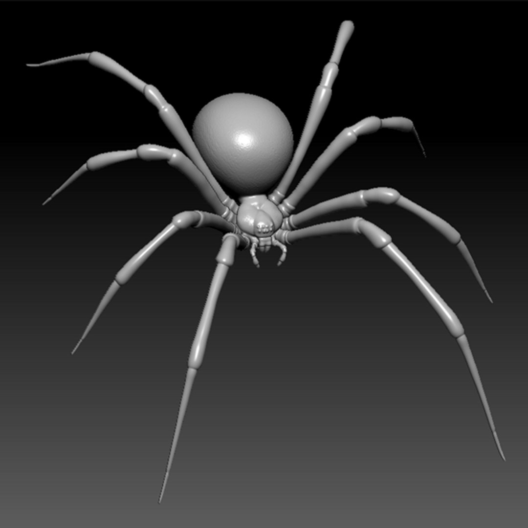 Black Widow Spider 3D - TurboSquid 2151447