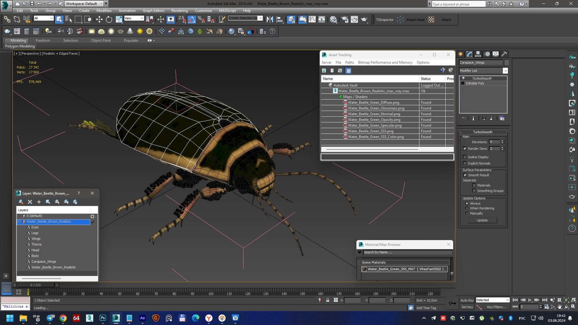 Water Beetle Brown Realistic 3D Model - TurboSquid 2241827