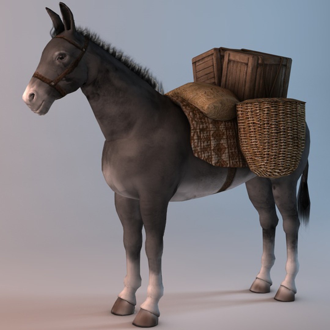 Loaded Donkey 3d Model