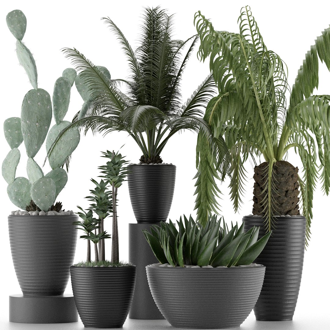 3D Plants 25 Model - TurboSquid 1591917