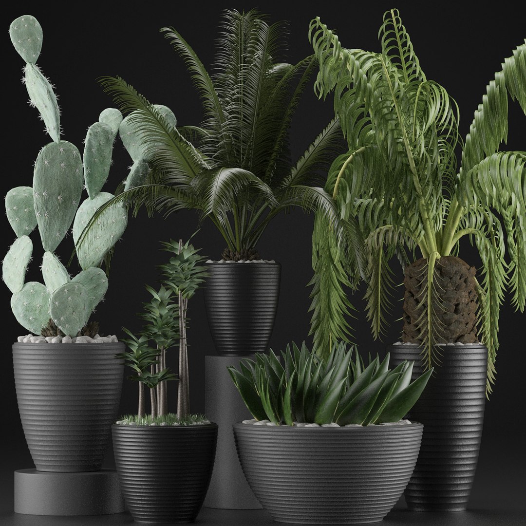 3D Plants 25 Model - TurboSquid 1591917