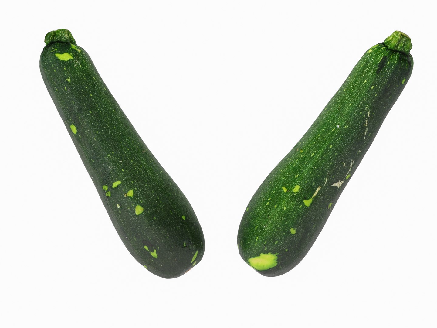 Zucchini 3D Model - TurboSquid 2094574