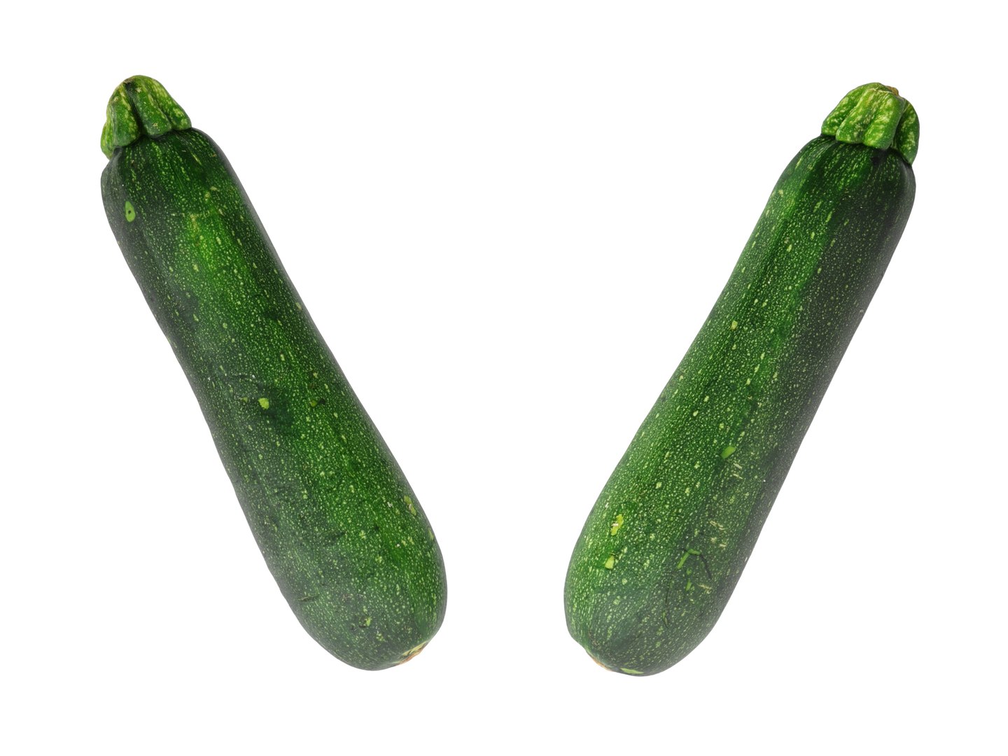 Zucchini 3D Model - TurboSquid 2094574