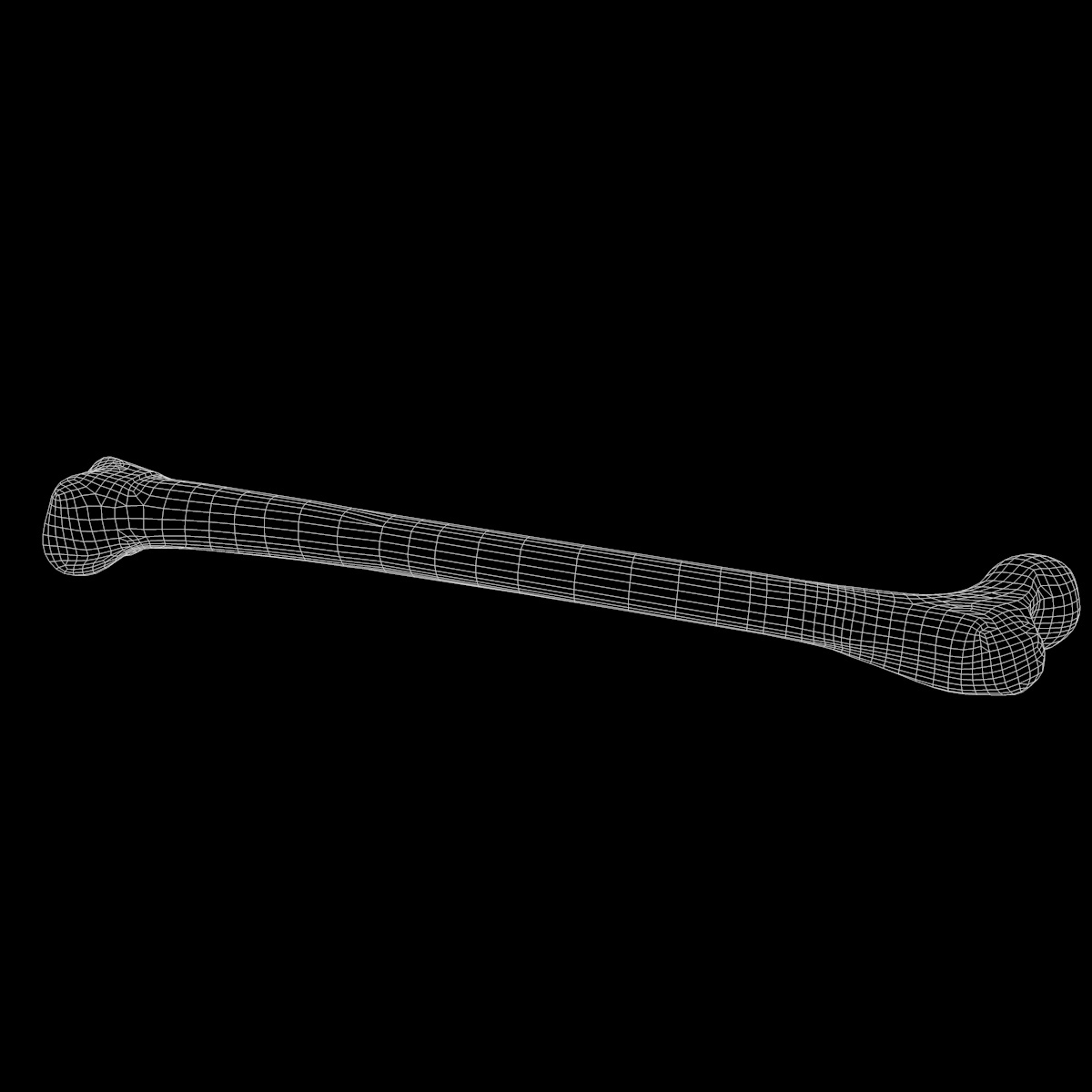 3d skeleton bones femur