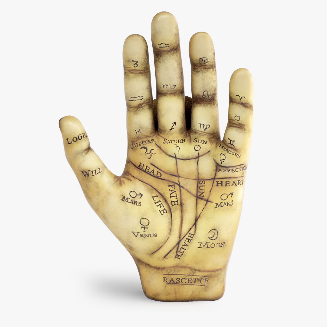 Palmistry hand model - TurboSquid 1440154