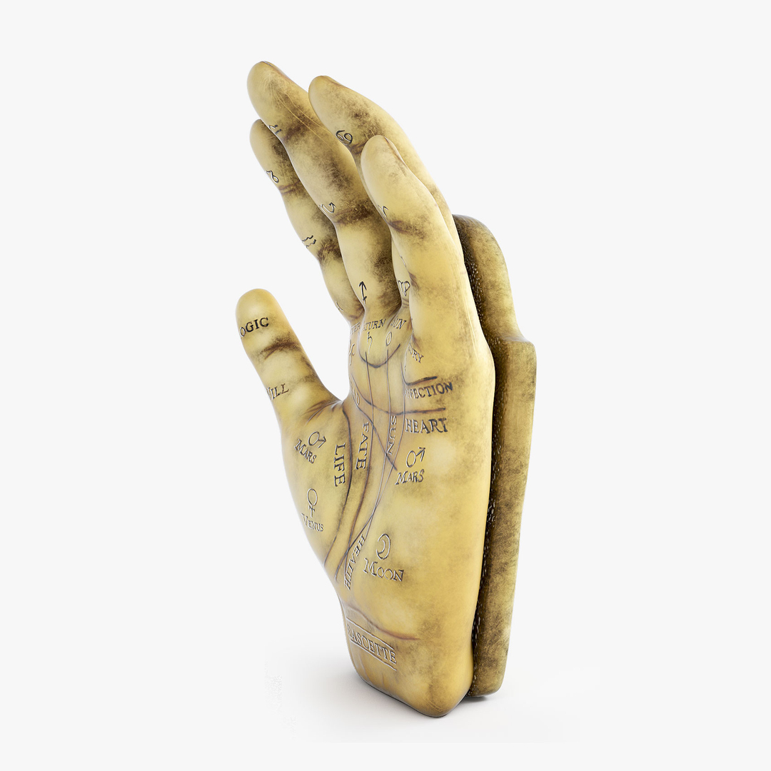 Palmistry hand model - TurboSquid 1440154