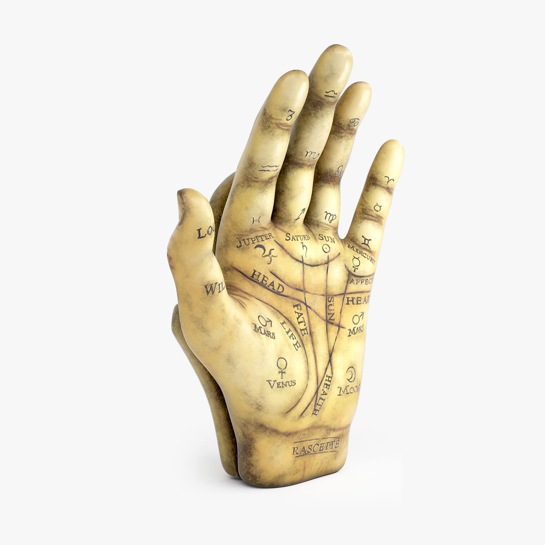 Palmistry hand model - TurboSquid 1440154