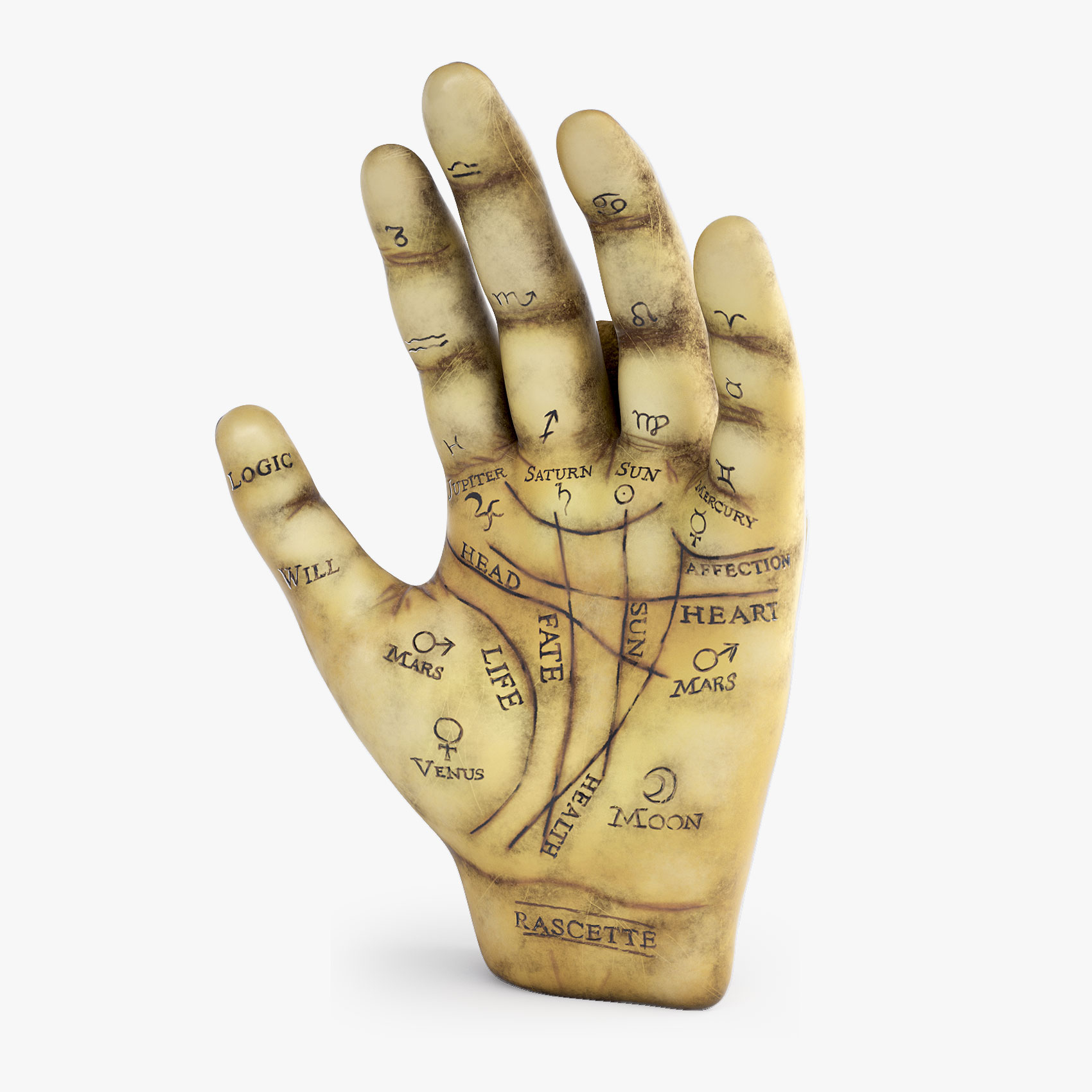 Palmistry hand model - TurboSquid 1440154