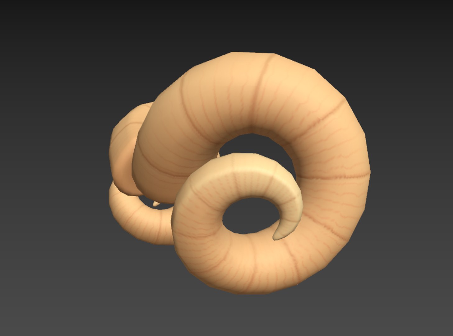Ram Horn 3D Model - TurboSquid 1515229