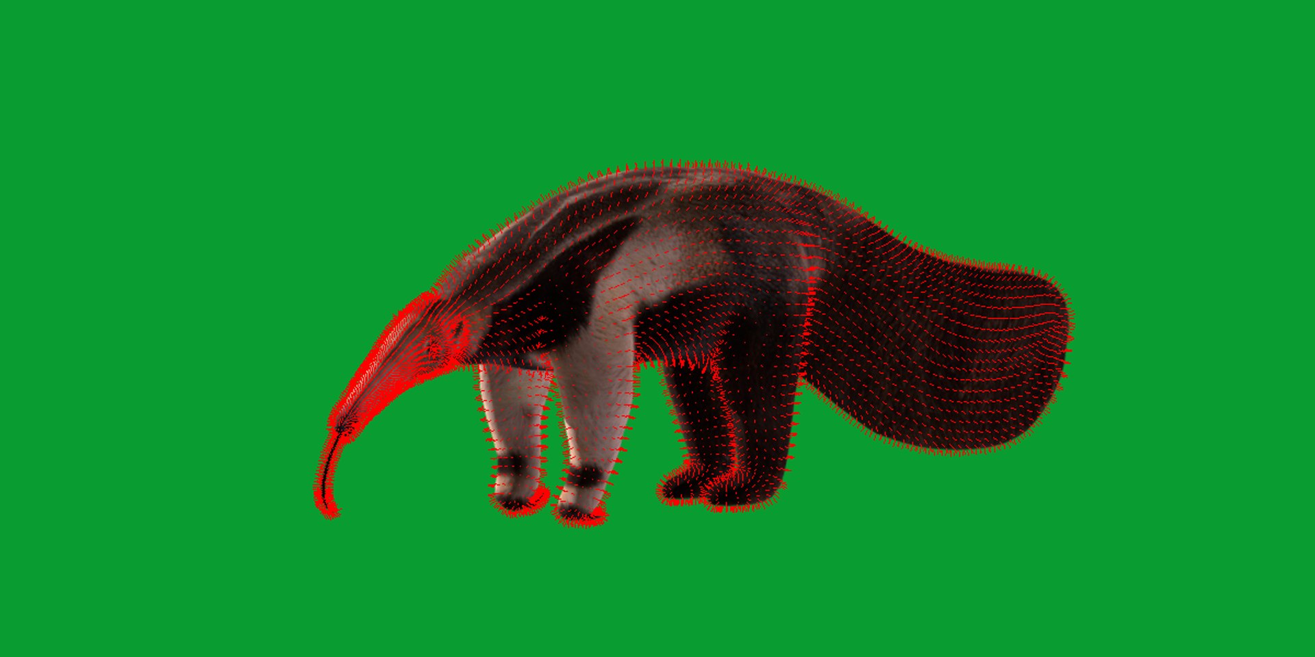 Giant Anteater 3D Model - TurboSquid 2310557