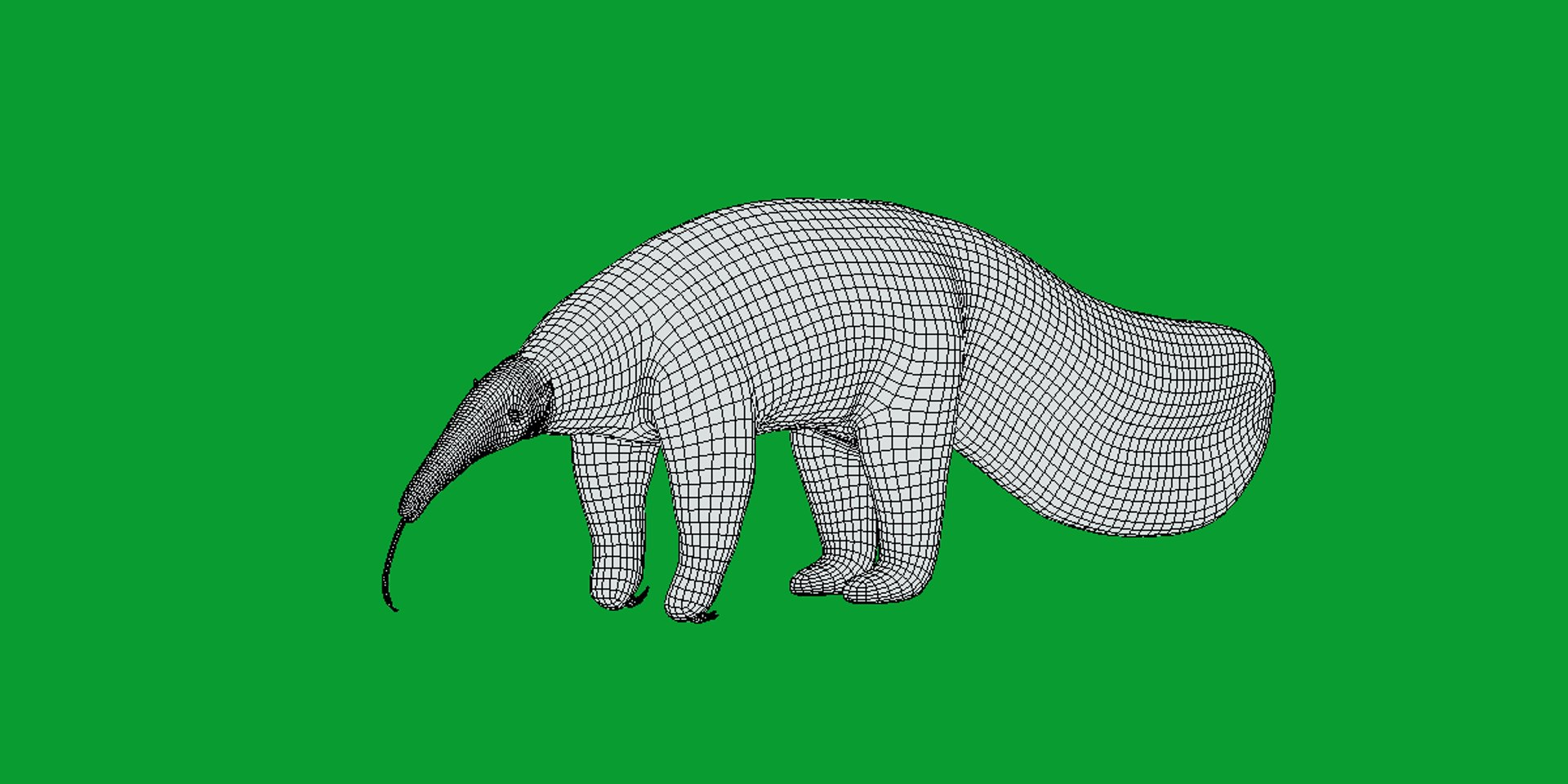 Giant Anteater 3D Model - TurboSquid 2310557