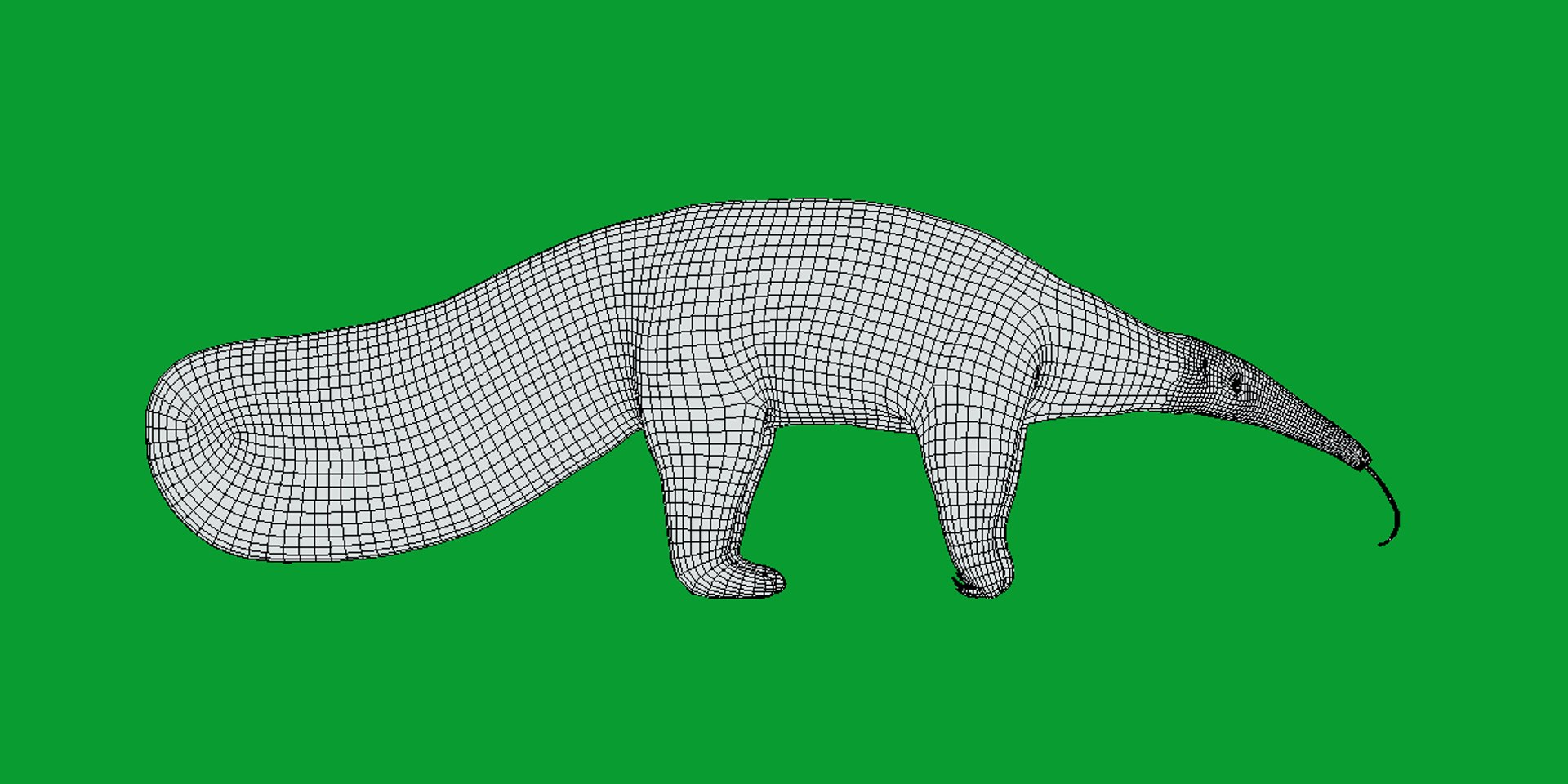 Giant Anteater 3D Model - TurboSquid 2310557
