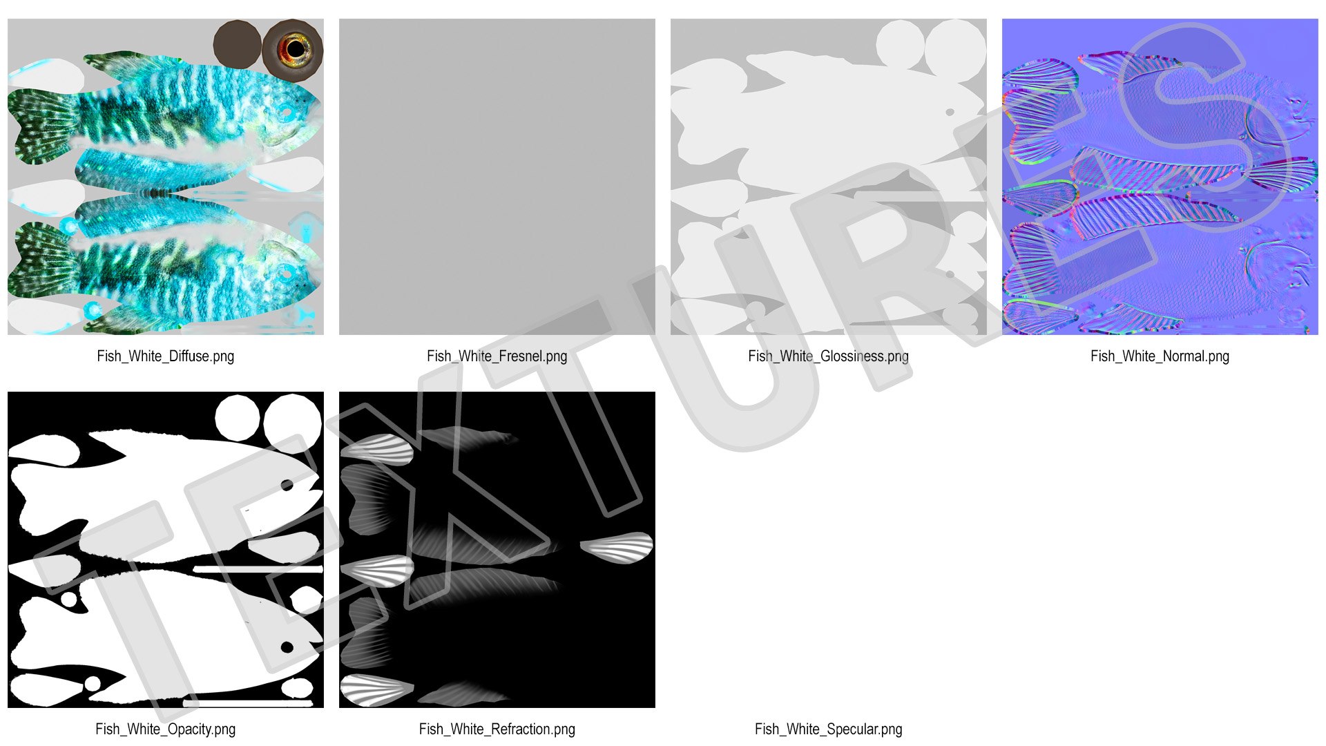 3D Blue Opaline Gourami Fish Rigged Model - TurboSquid 2206577